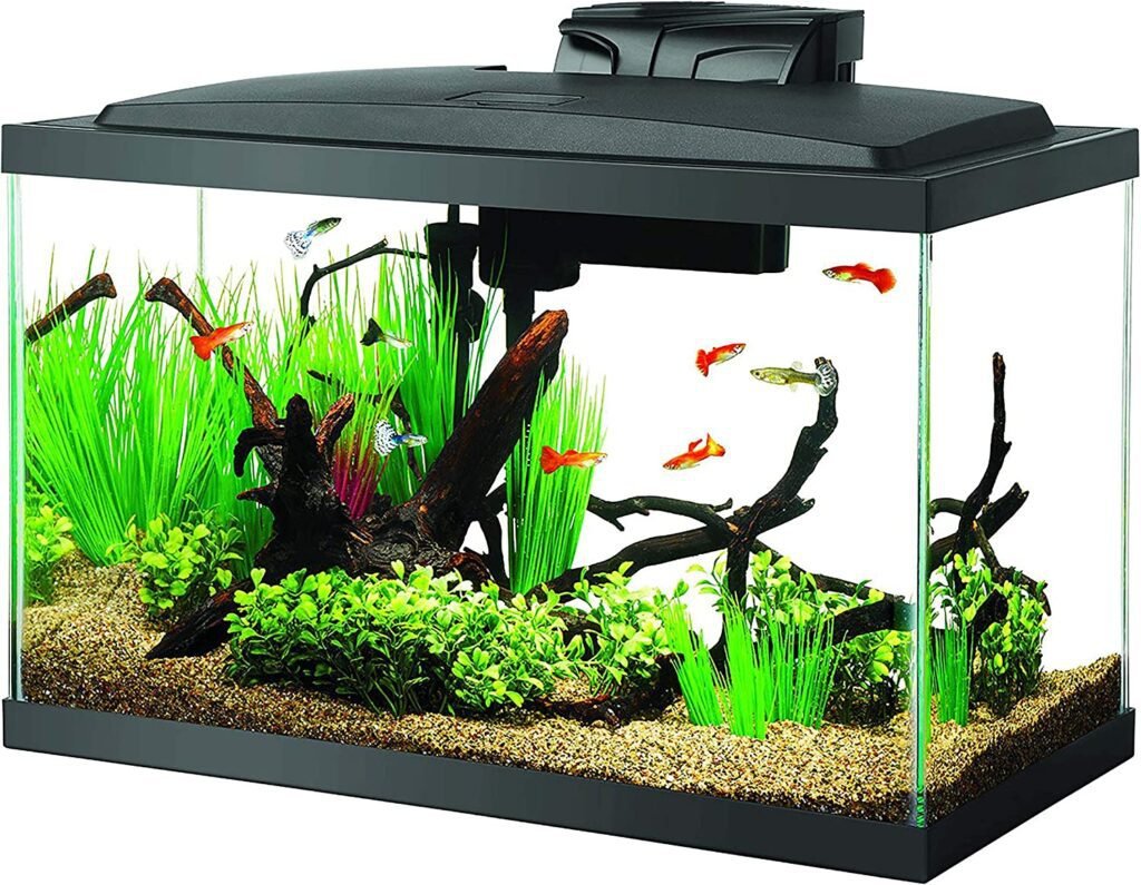 TOP 10 Best Acrylic Tanks in 2023 - ACRYLICPEDIA