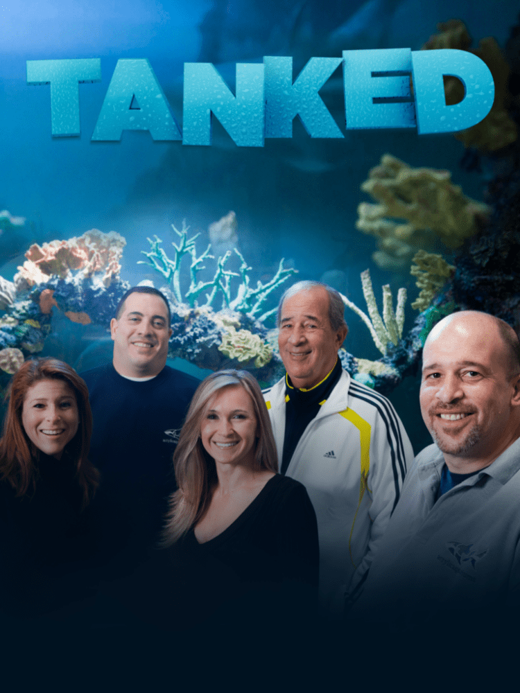 Meet The Main Cast Of Tanked ACRYLICPEDIA Meet The Main Cast Of Tanked ACRYLICPEDIA